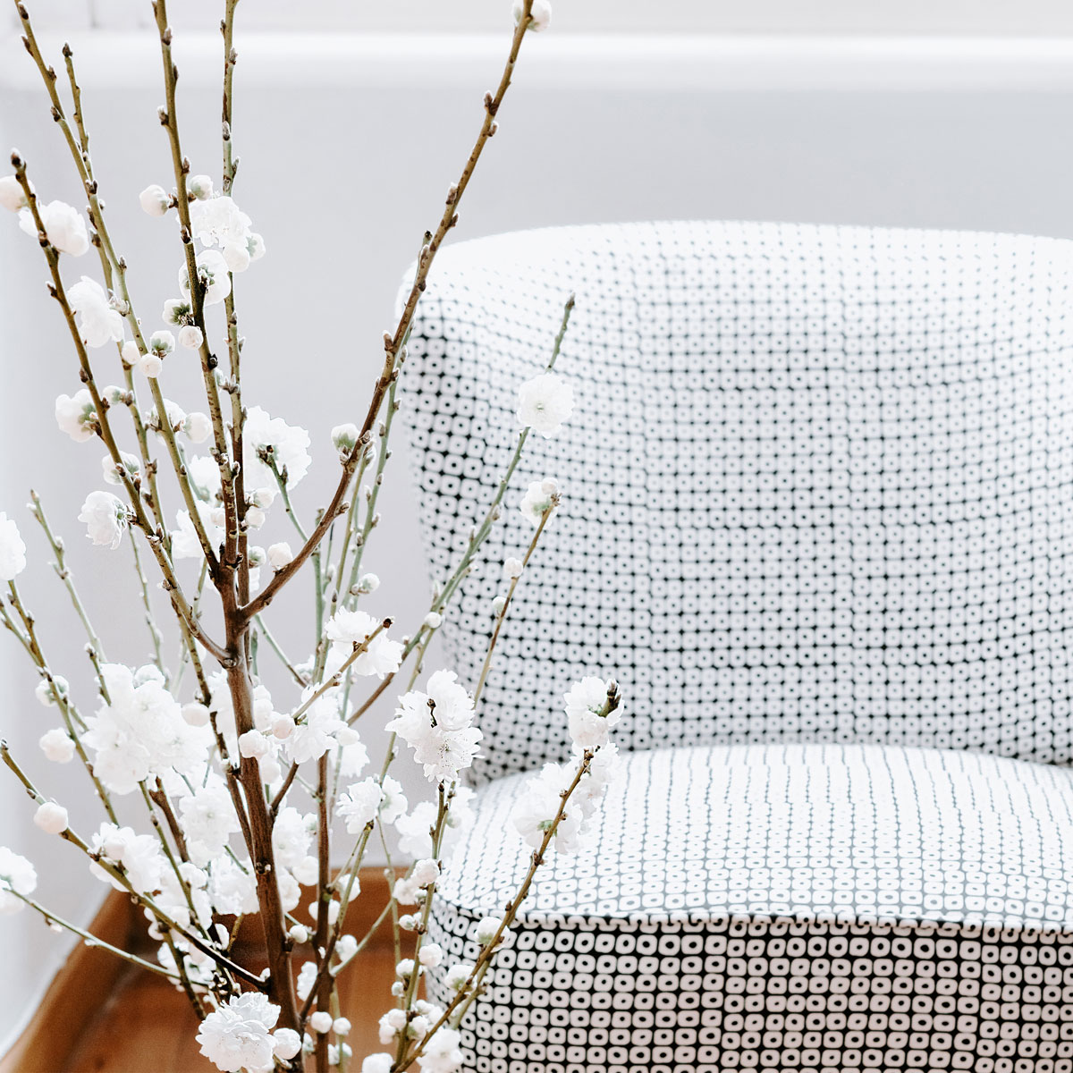 iris-port2 | Lotus Tantra Institute International